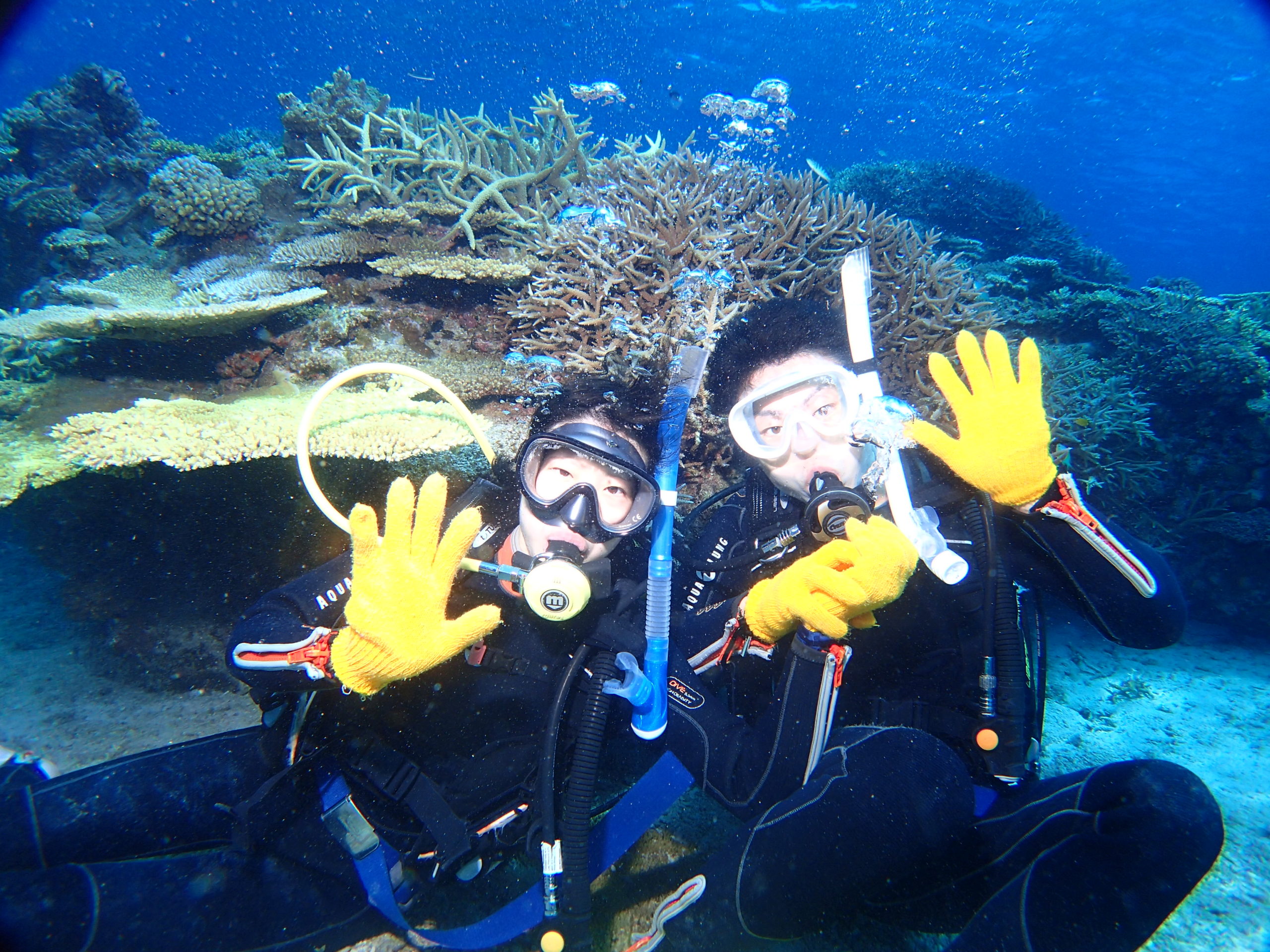 夏後半盛り上がっていきましょう！ | 沖縄アクアマリン
